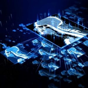 MIM Contour Protégé AI - Auto Contouring | NL-Tec